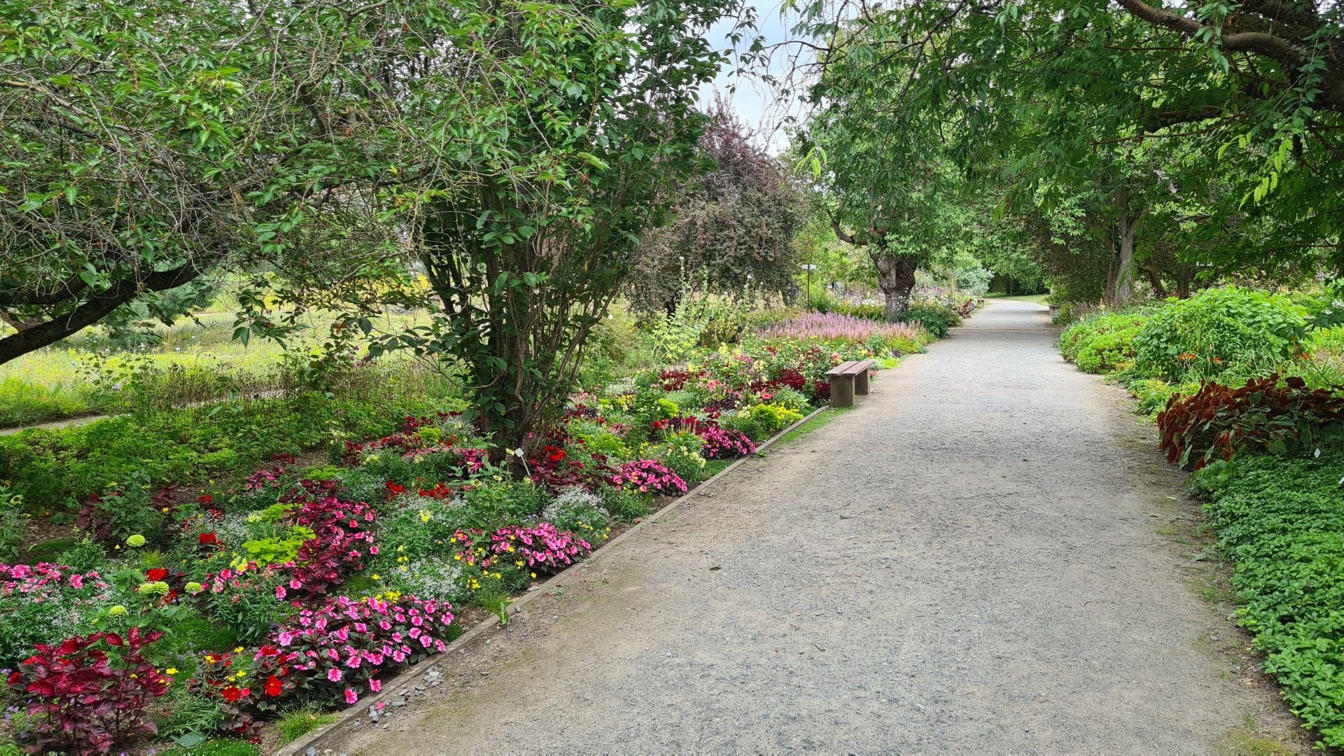 Conference – 47th ECVP 2025 Mainz