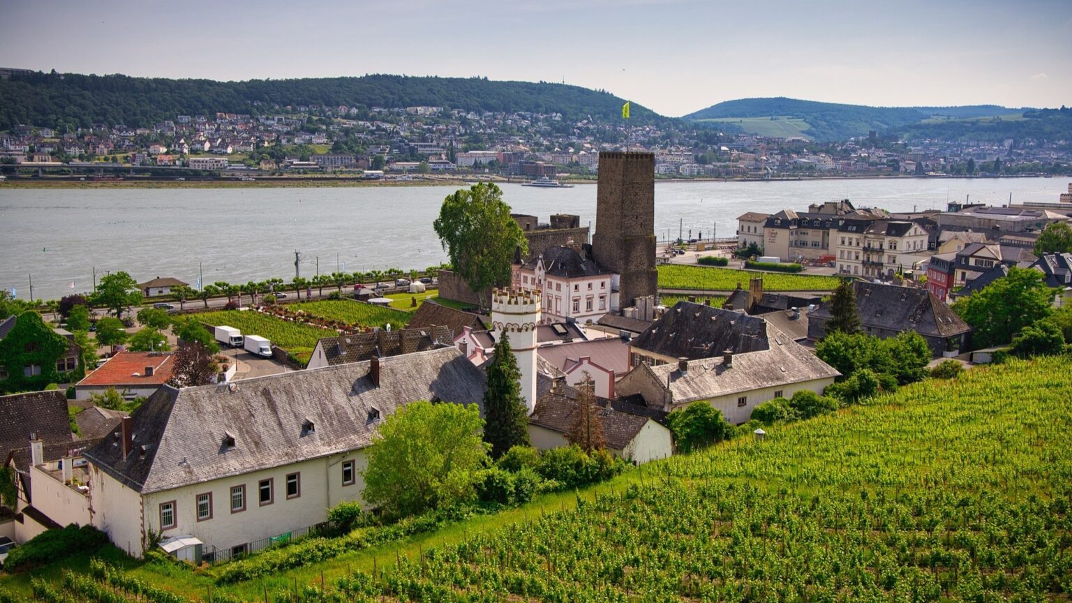 Travel – 47th ECVP 2025 Mainz